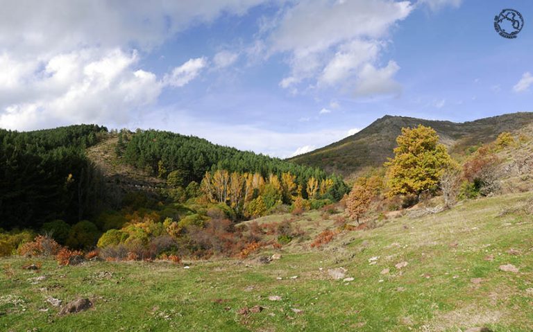 Visitar el hayedo de Montejo en otoño: ENTRADAS Y RESERVAS ⋆ Un viaje ...