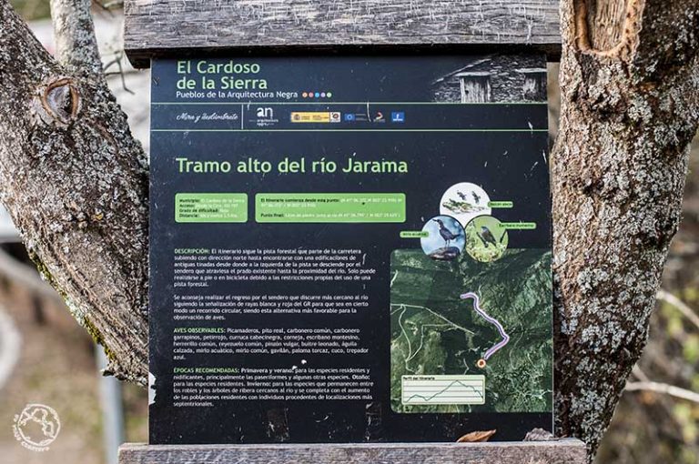 Visitar el hayedo de Montejo en otoño: ENTRADAS Y RESERVAS ⋆ Un viaje ...