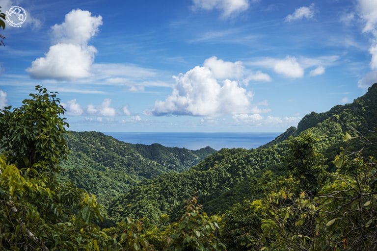 VIAJAR a ISLAS COOK qué ver y hacer en el paraíso de Polinesia ⋆ Un ...